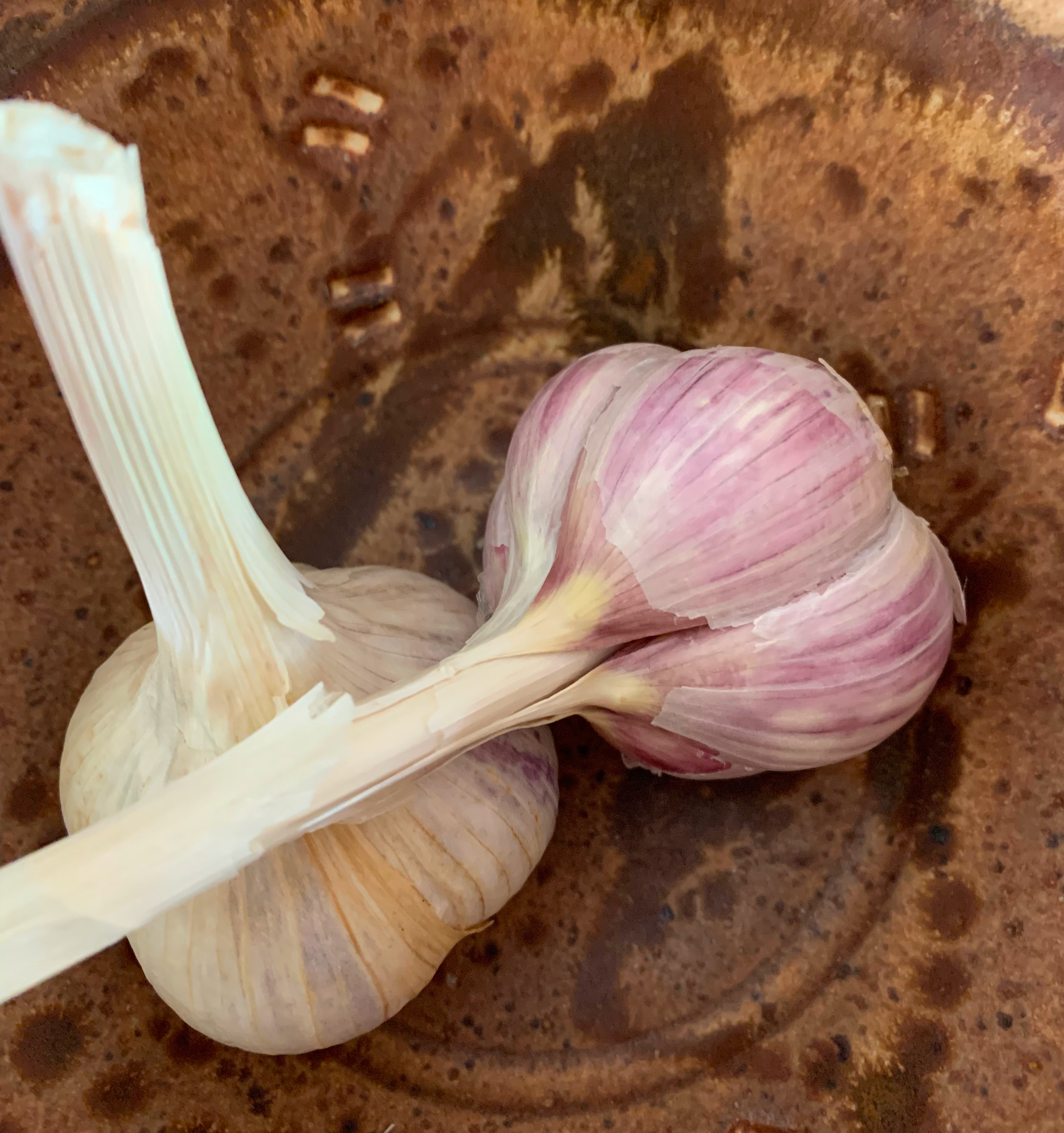 Roasted Garlic Pesto – Zanganeh Garden